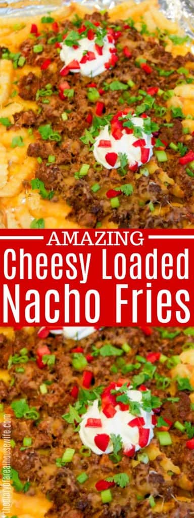 Loaded Nacho Fries - The Diary of a Real Housewife