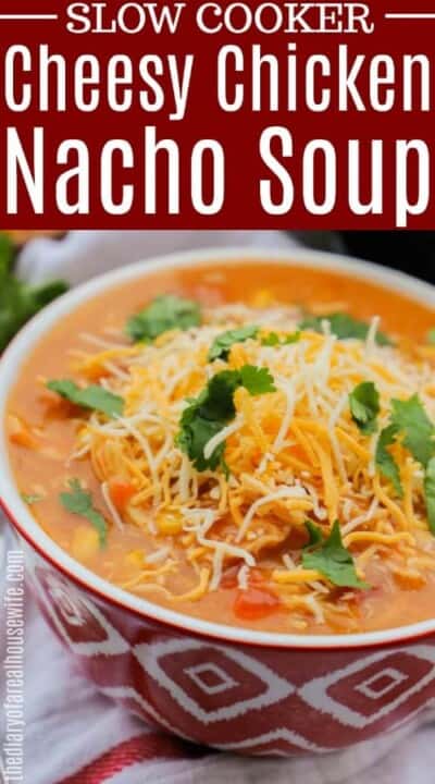 Cheesy Chicken Nacho Soup • The Diary of a Real Housewife