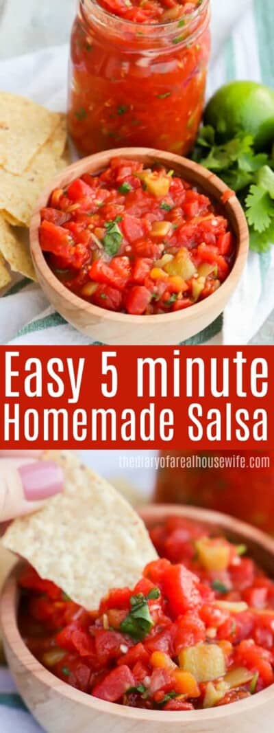Homemade Salsa • The Diary of a Real Housewife