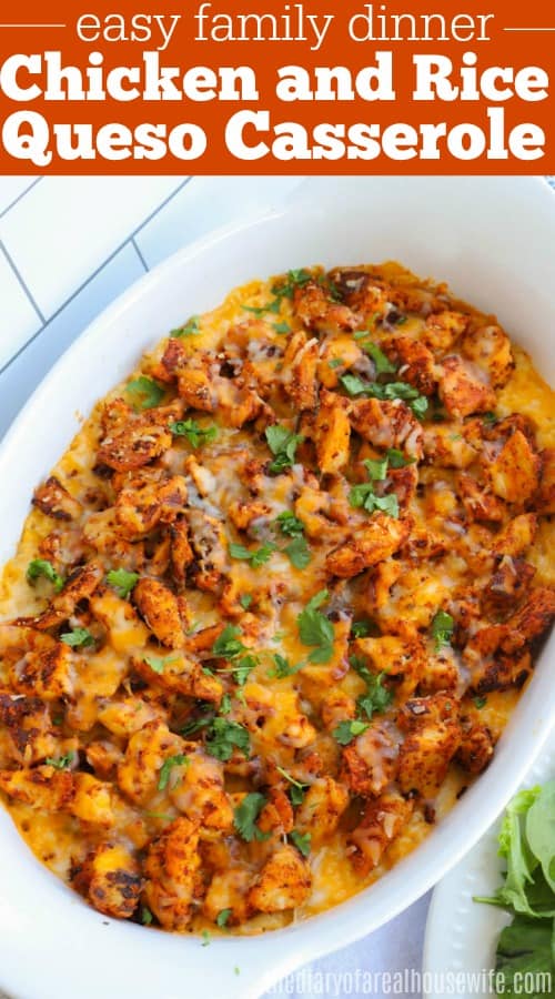 Chicken and Rice Queso Casserole • The Diary of a Real Housewife