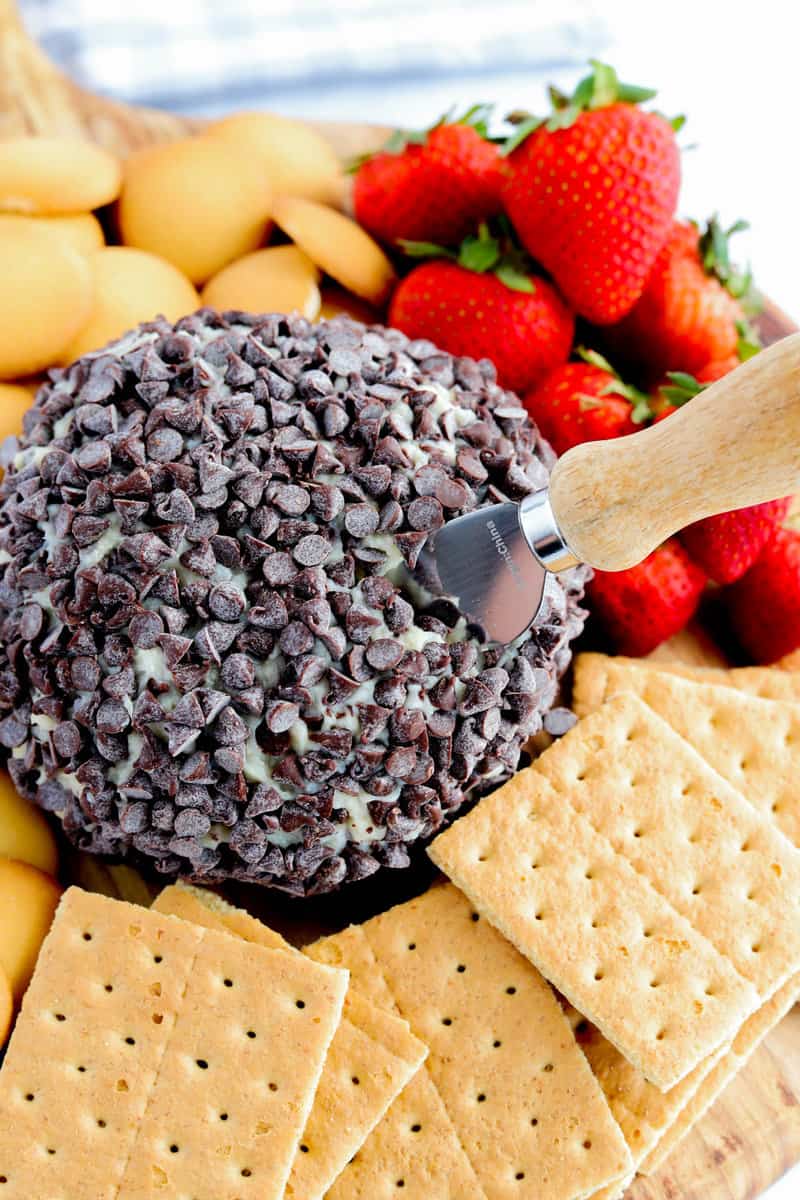 Chocolate Chip Cheese Ball • The Diary of a Real Housewife