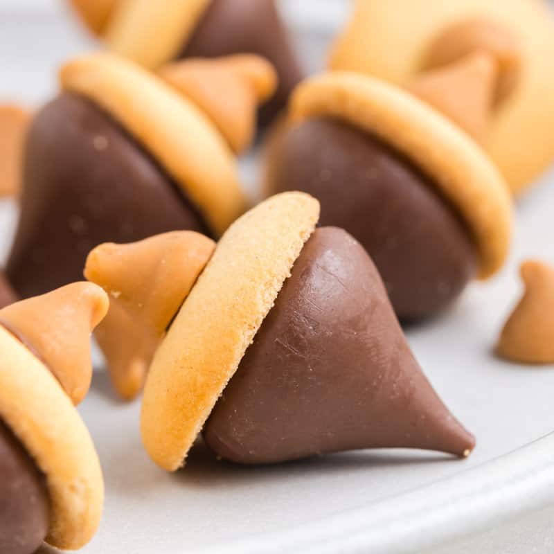 Acorn Cookies • The Diary of a Real Housewife