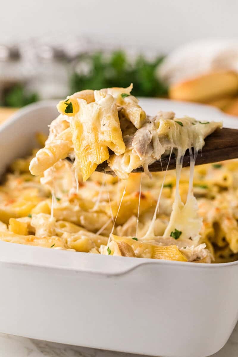 Chicken Alfredo Casserole Bake • The Diary of a Real Housewife